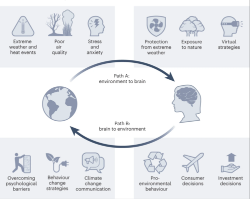 A new perspective paper that outlines how neuroscience can be leveraged ...